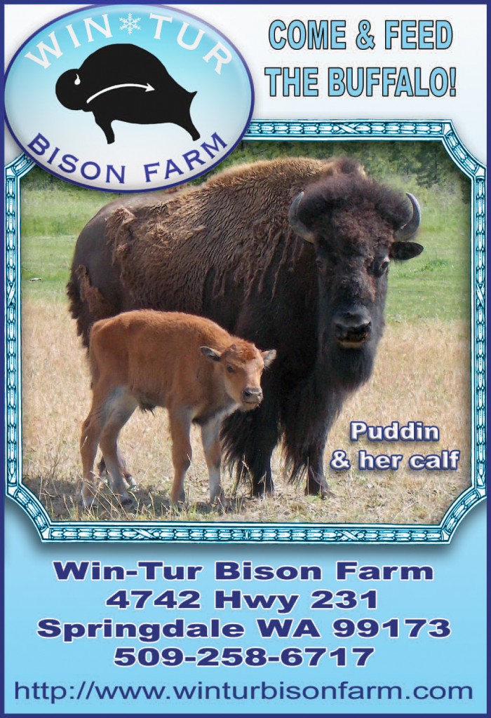 Win-tur Bison Farms and the Path to Agritourism